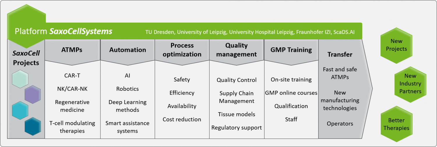 SaxoCell: SaxoCellSystems